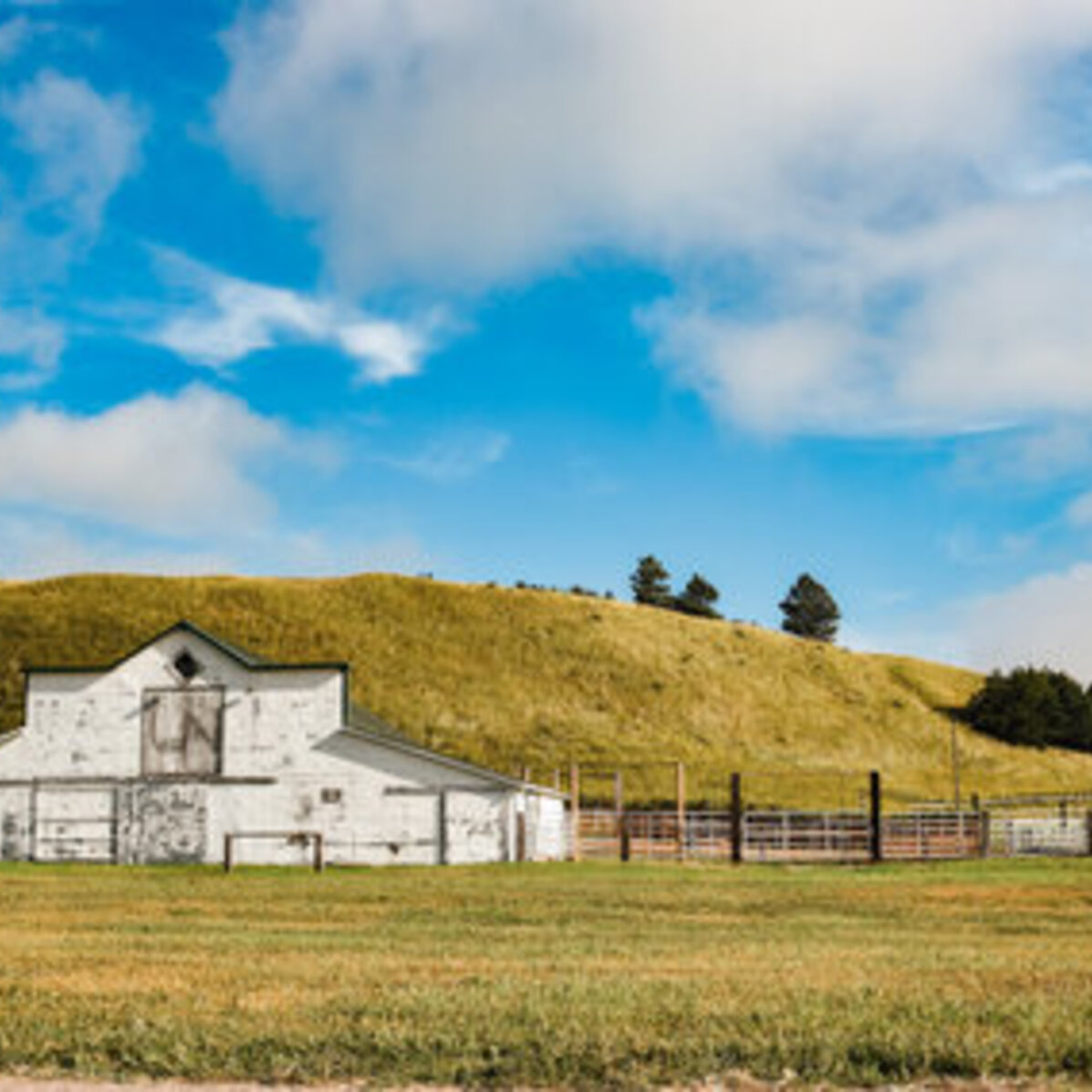Roads Scholar Tour | Institute of Agriculture and Natural Resources ...